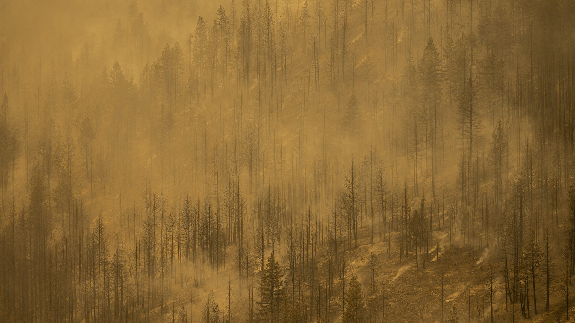 Kristian Sloth: Endnu et folketingsvalg, endnu en spildt klimachance ...